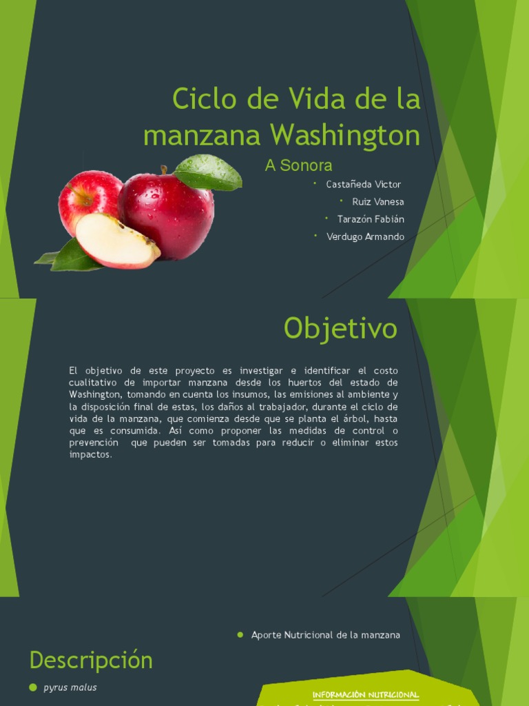 Ciclo de Vida de La Manzana | PDF | Pesticida | Fertilizante