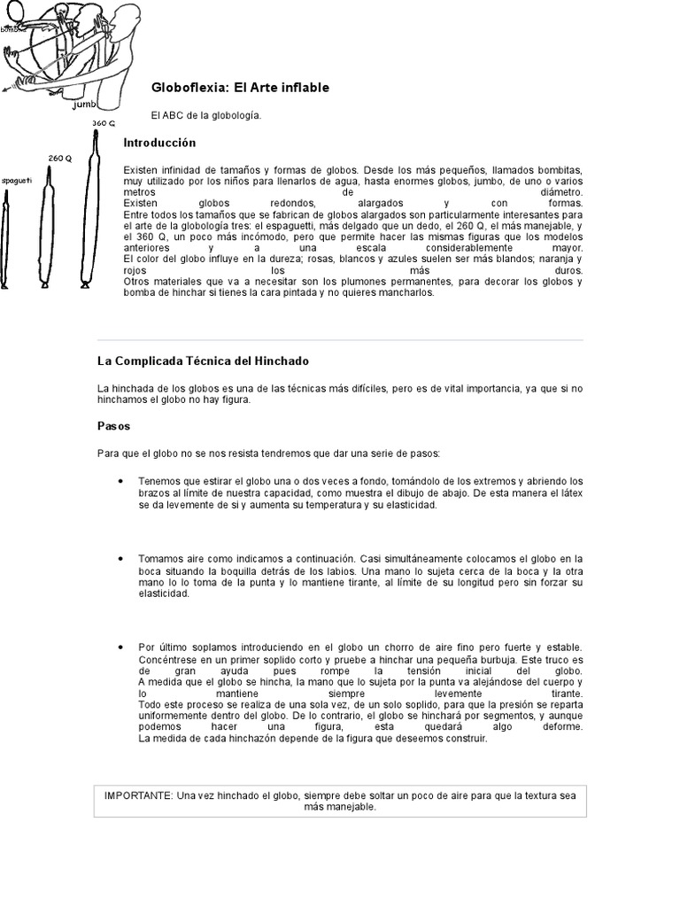 Globoflexia Tecnica Inflado | PDF | Eje | Respiración