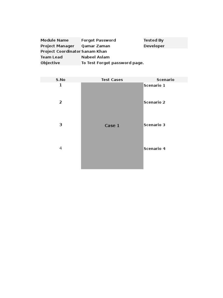 Sample SQA Report | PDF