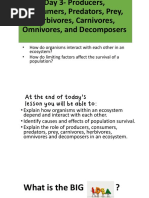 3rd Grade - Food Chain Worksheet | PDF