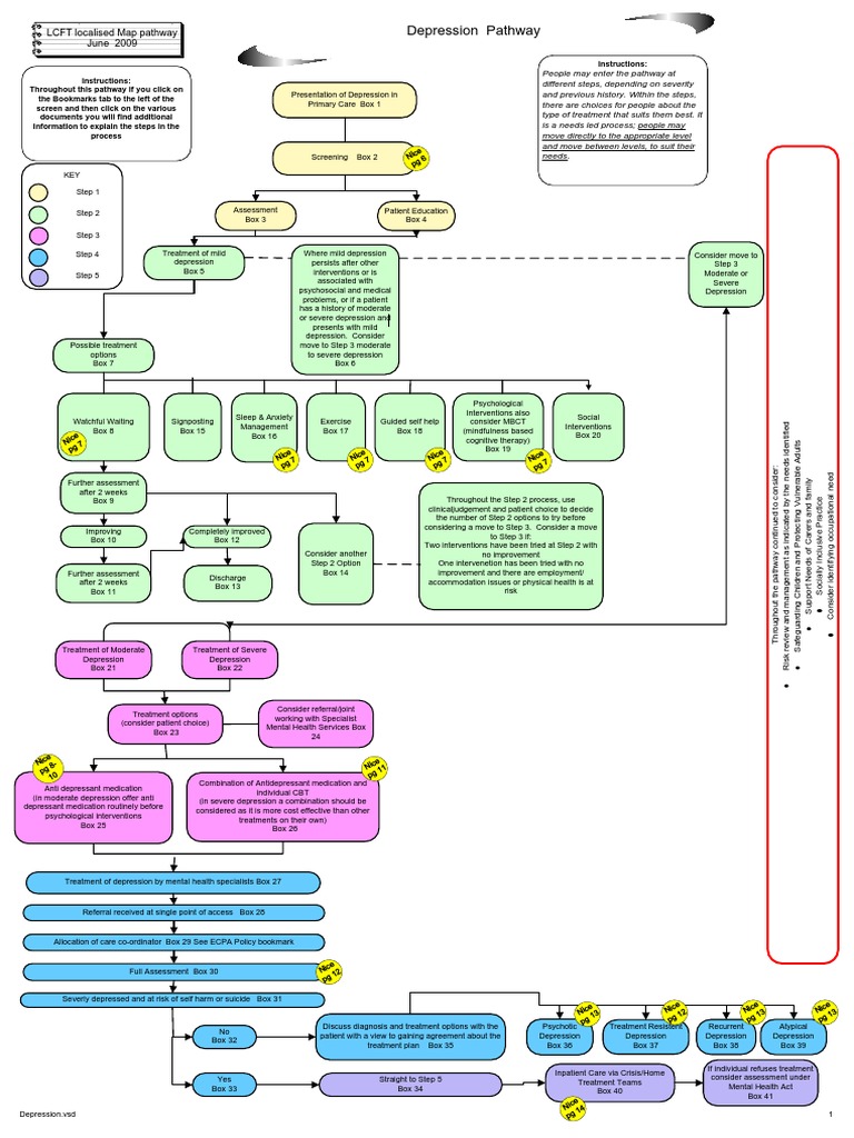 Depression Care Pathway | PDF | Major Depressive Disorder | Antidepressant