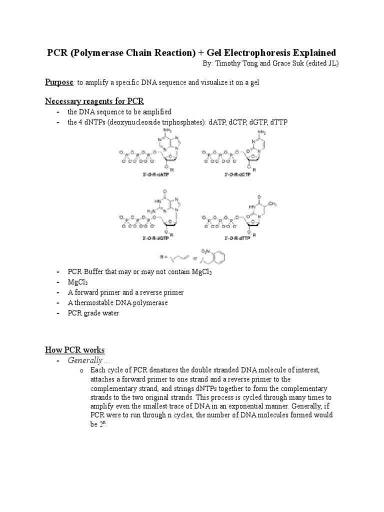 PCR and Gel Electrophoresis Guide | PDF | Gel Electrophoresis | Agarose ...