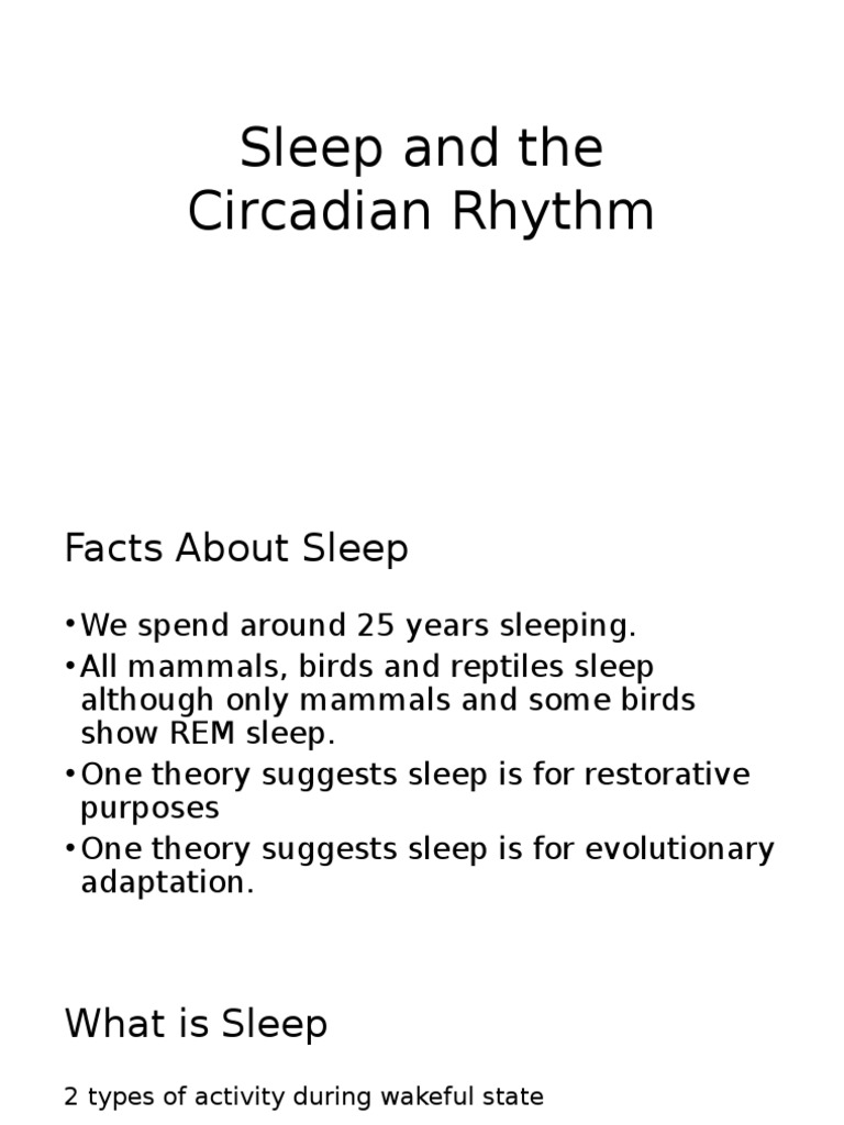 Sleep and The Circadian Rhythm | PDF | Sleep | Circadian Rhythm