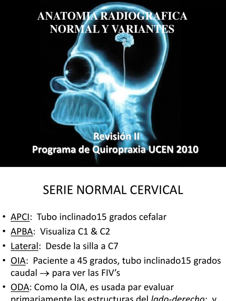 Variantes Anatomicas en Columna PDF | PDF | Vértebra | Cabeza y cuello ...