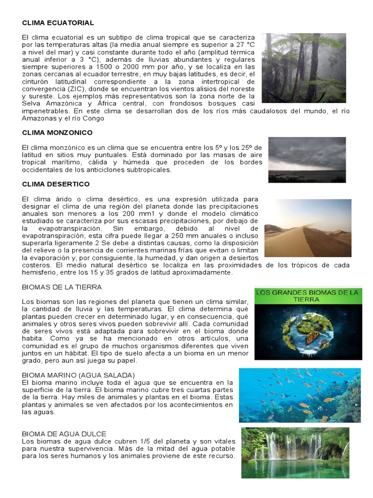 Clima Ecuatorial | PDF | Desierto | Clima