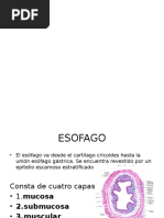 2) Clasificacion Esofagitis | PDF | La enfermedad por reflujo ...