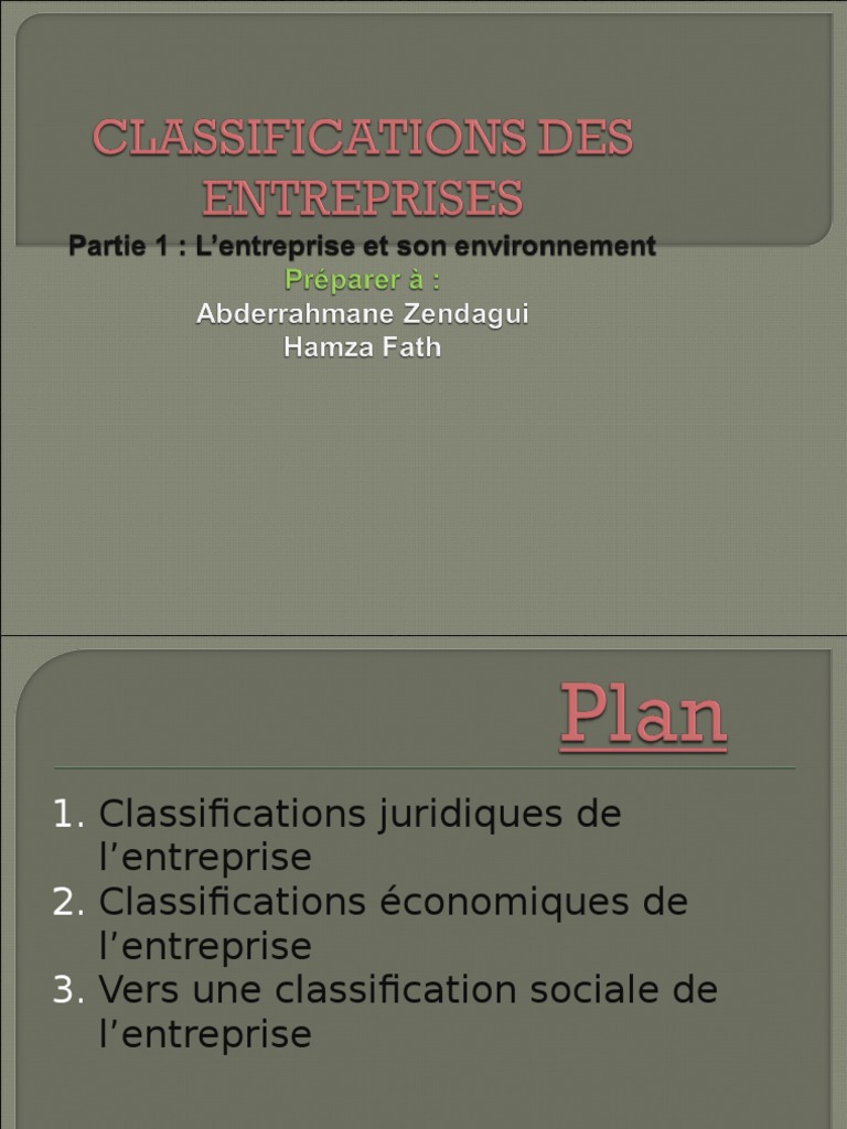Classification des entreprises par secteur | PDF | Petite ou moyenne ...