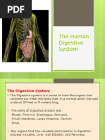 Science-Reviewer-3rd-Quarter For Grade 10 Biology | PDF | Motor Neuron ...