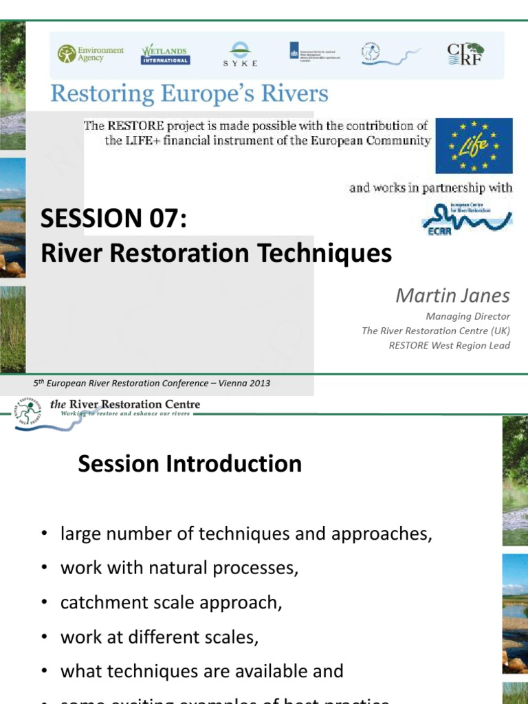 River Restoration Techniques Overview | PDF | Riparian Zone | River