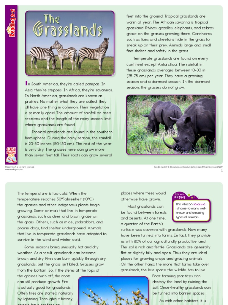 Biomes Reading Passages For Powerpoints and Writing | PDF | Grassland ...