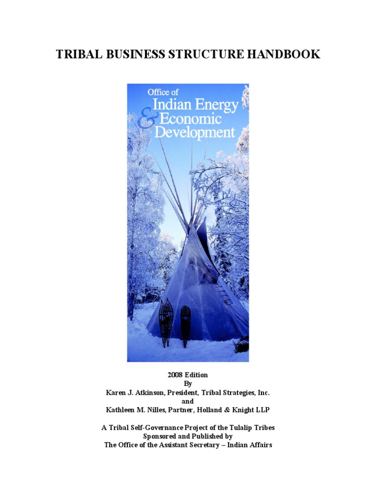 Aboriginal Business Model | PDF | Limited Liability Company | Corporations