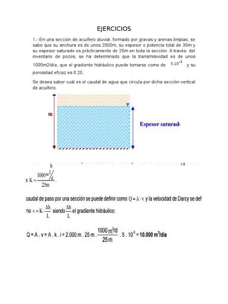 EJERCICIOS + Polymath | PDF