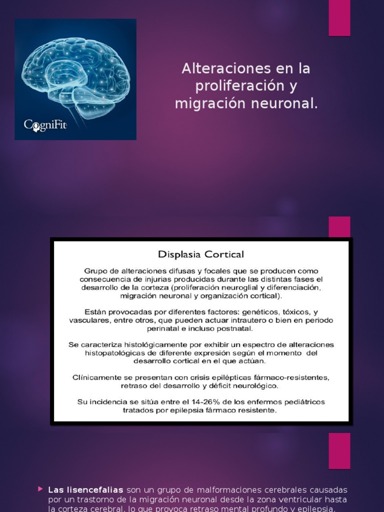 5 Trastornos de Migración Neuronal | PDF | Epilepsia | Neurología