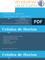 HEPTADIN | PDF | Dolor de cabeza | Migraña