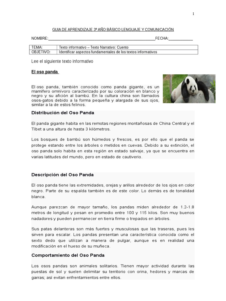 3º Básico Lenguaje Guia Lectura Texto Informativo Cuento | PDF | Panda ...
