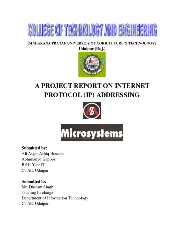 IP Addressing Project Report | PDF | Ip Address | I Pv6