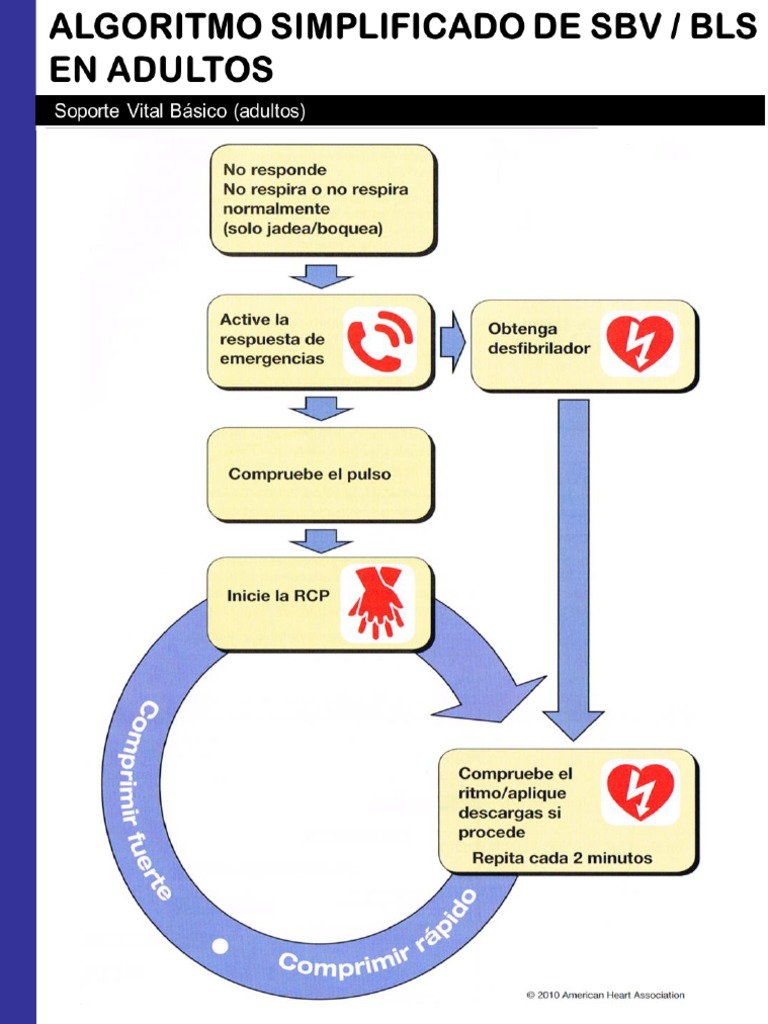 Algoritmos AHA 2010 | PDF