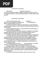 Raport de Activitate Zilnic | PDF