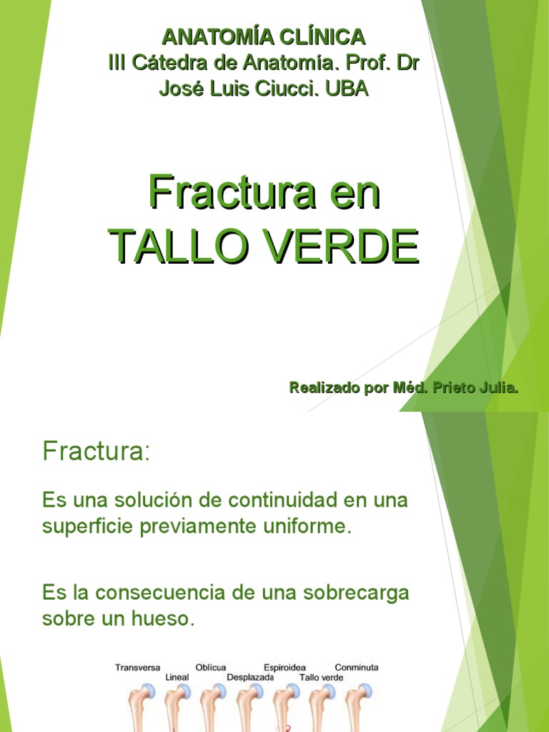 Tallo Verde | PDF | Hueso | Ct Scan