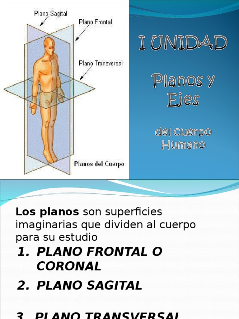 Ejes y Planos | Pie | Mano