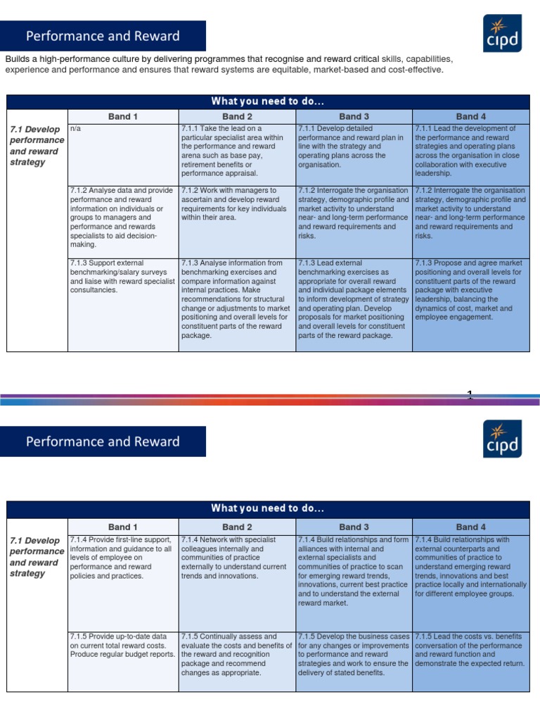 Performance and Reward Strategy Guide | PDF | Performance Management ...