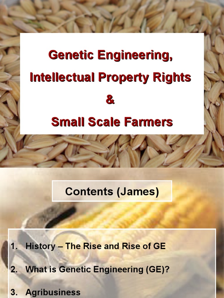 GMO and Intellectual Prop Rights | PDF | Traditional Knowledge ...