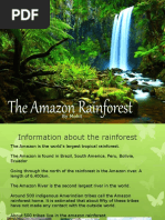 Ava'S - Amazon Rainforest Brochure | PDF | Amazon Rainforest | Trees