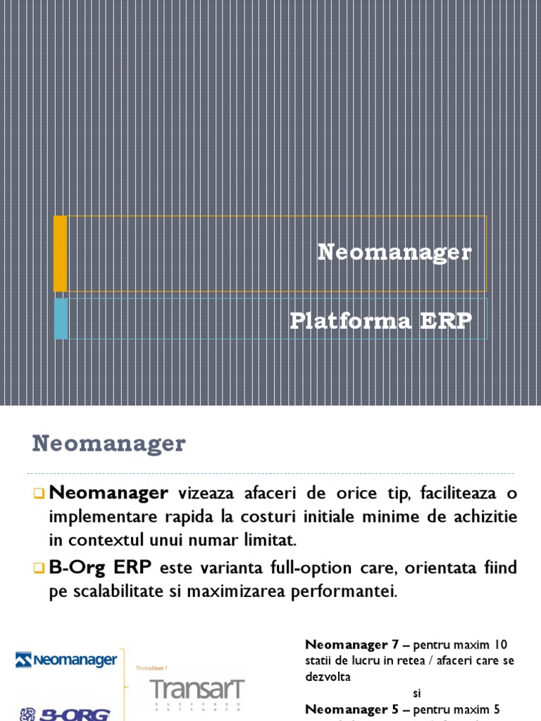 Prezentare Neomanager Abas | PDF