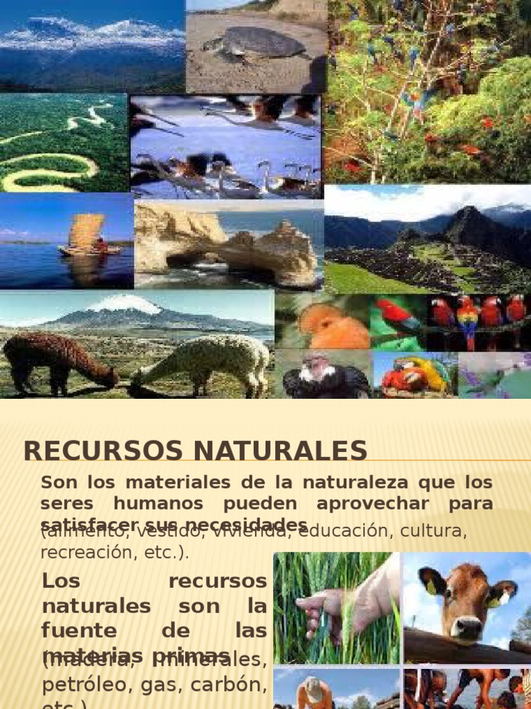 15.-Recursos Naturales | PDF | Gas natural | Combustibles