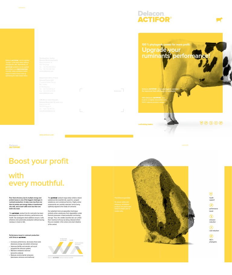 Delacon Actifor Folder | PDF | Ruminant | Food And Drink