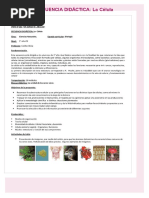 Secuencia Didáctica: La Célula 6º Grado | PDF | Biología Celular ...