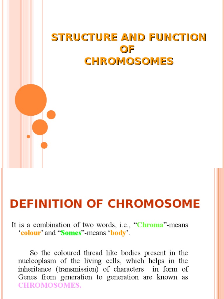 Structure and Function of Chromosomes | PDF | Ploidy | Chromosome