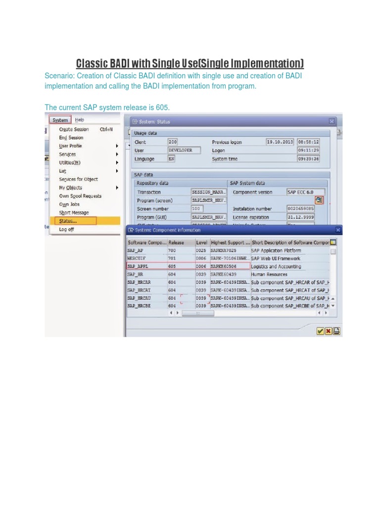 Classic BADI With Single Use | PDF | Method (Computer Programming) | Digital Technology