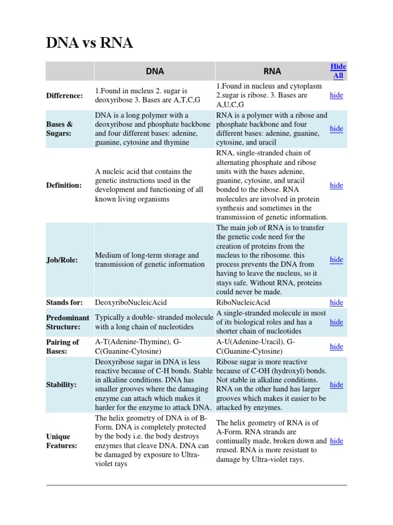 DNA Vs RNA | PDF | Science & Mathematics