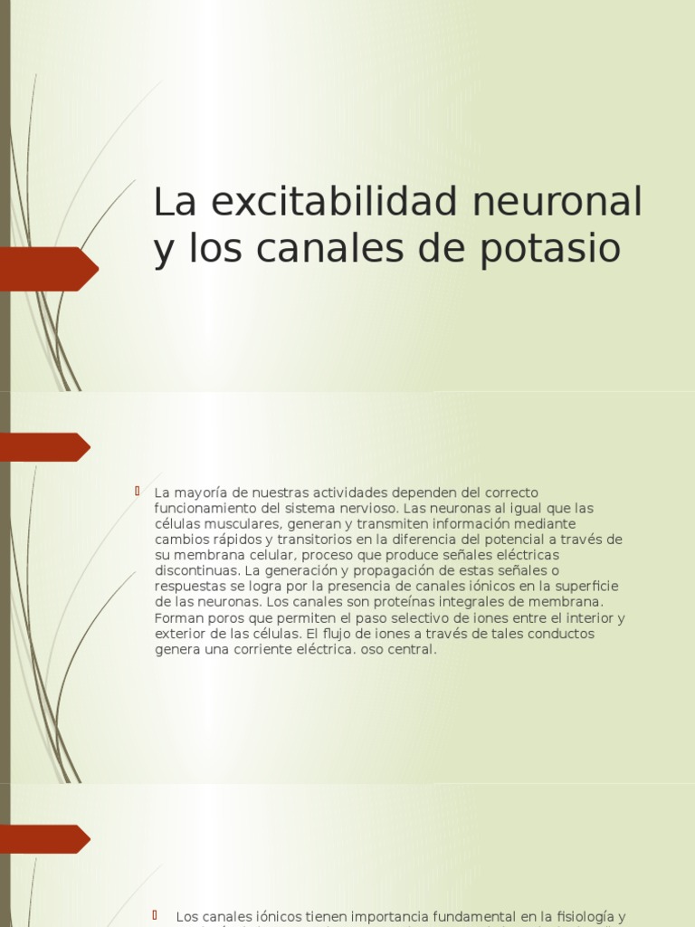 La Excitabilidad Neuronal y Los Canales de Potasio | PDF | Canal de ...