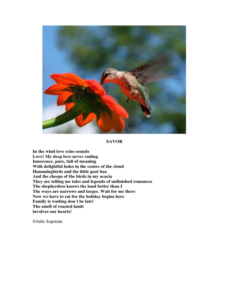 Hummingbirds: Love and Family Poem | PDF | Cooking, Food & Wine | Art