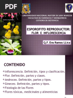 Perianto y Perigonio PDF | PDF | Flores | Ramas de la botánica