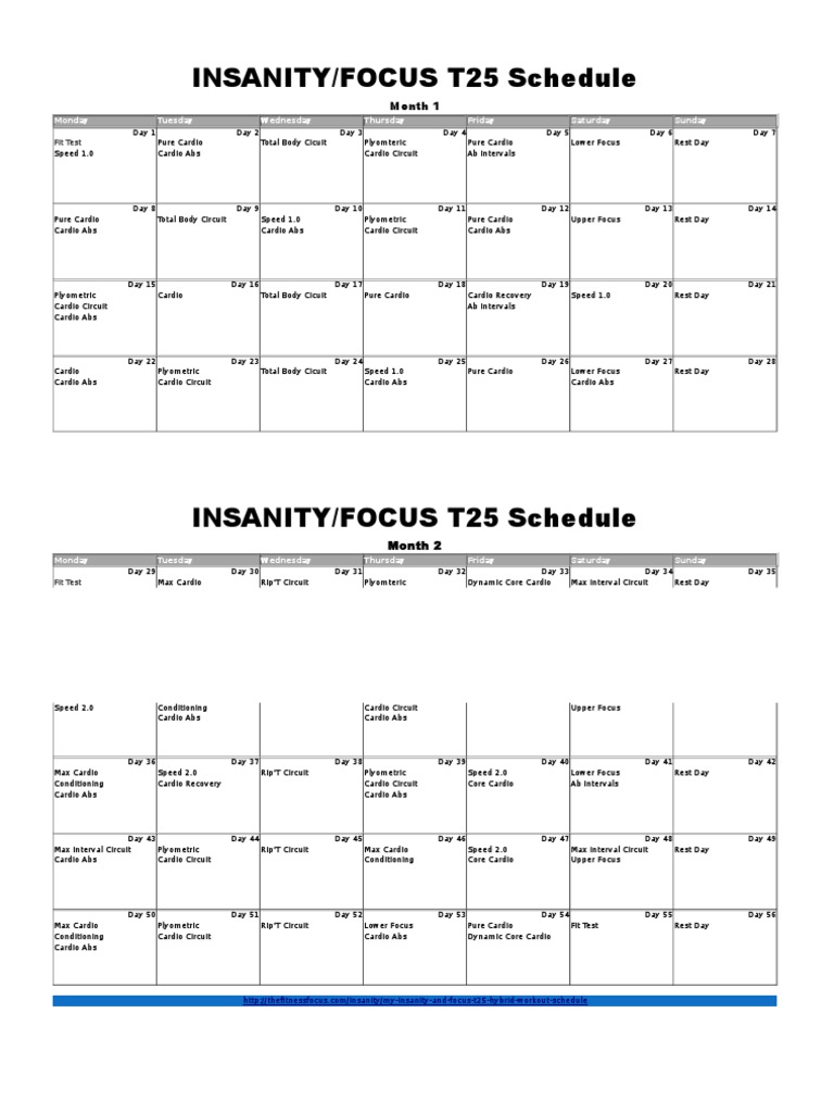 INSANITY/FOCUS T25 Hybrid Workout Schedule for Months 1 and 2 with ...
