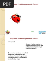 Pigeon Genetics: Answer Key | PDF | Dominance (Genetics) | Genotype