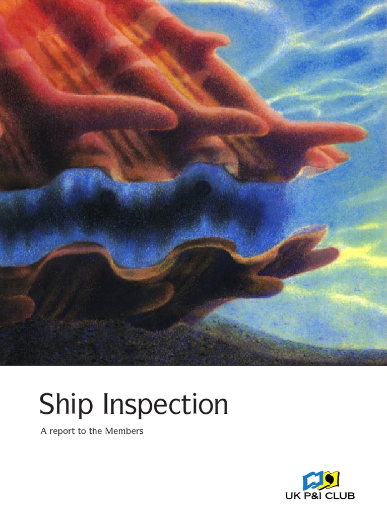 Ship Inspection Report | PDF | Ships | Safety