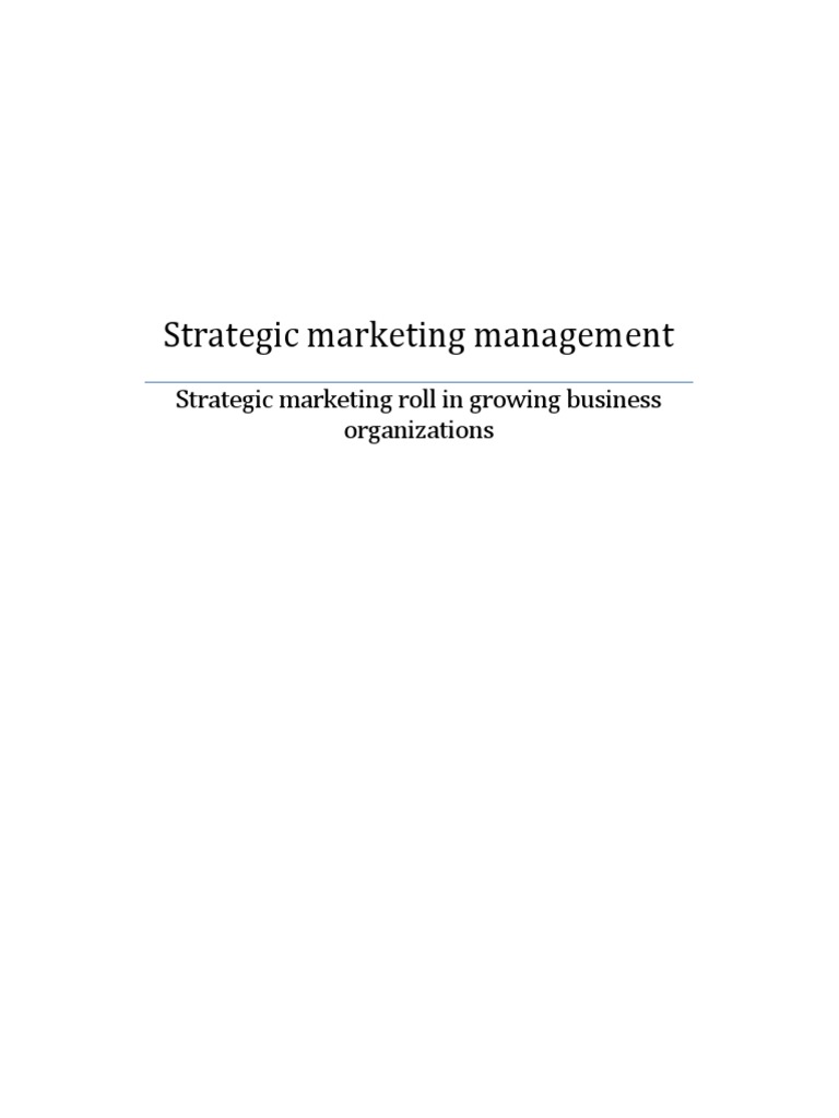 Strategic Marketing Assignment | PDF | Marketing Strategy | Market ...