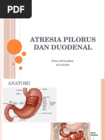 Contusio Musculorum | PDF
