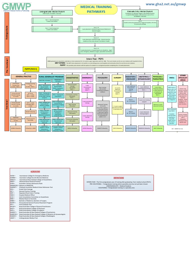 Medical Training Pathways in Australia | PDF | General Practitioner ...