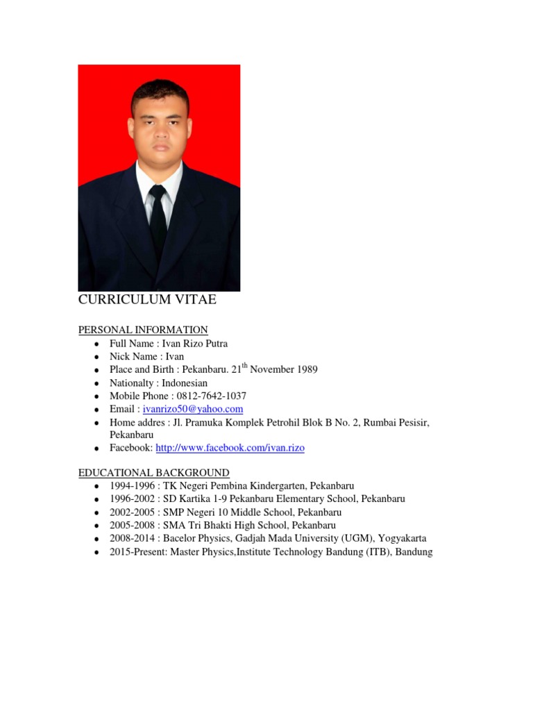 Curriculum Vitae Ivan | PDF