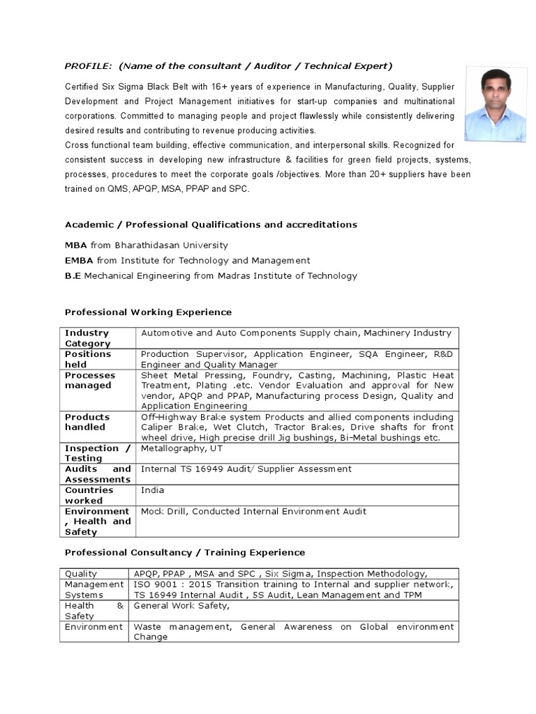 Consultant Auditor Profile | PDF | Six Sigma | Audit