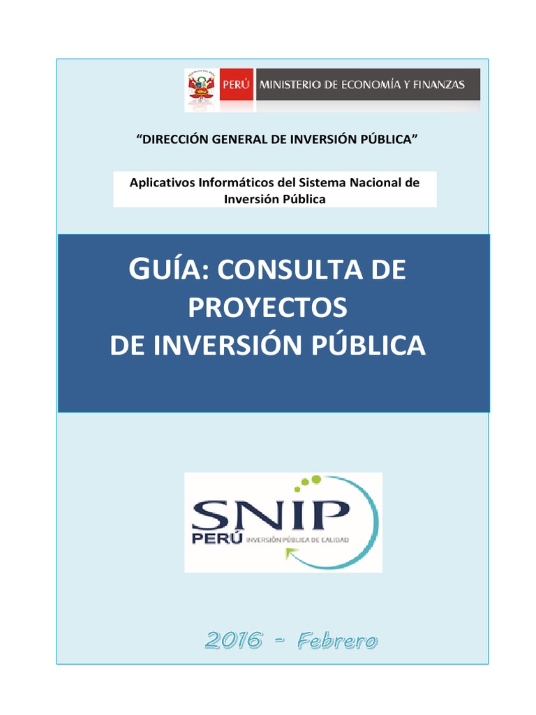 Guia Usuario Consulta PIP | PDF | Point and Click | explorador de Internet