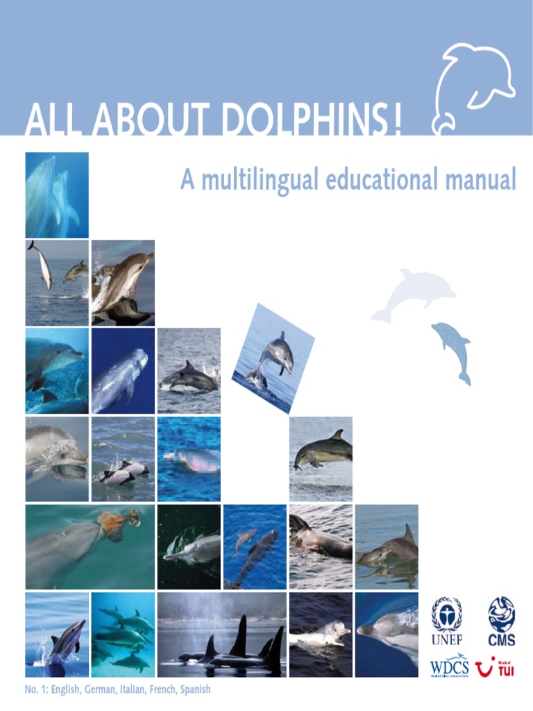All About Dolphins !: A Multilingual Educational Manual | PDF | Mammals ...