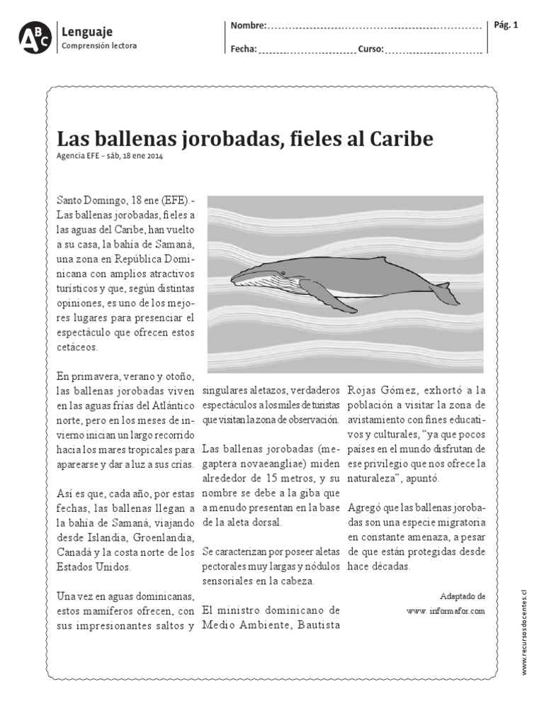 Ballenas PDF | PDF