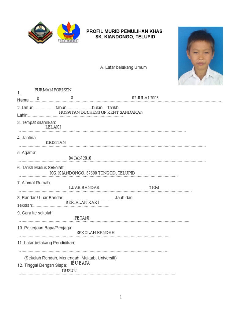 Profil Murid Pemulihan Khas 2011 | PDF
