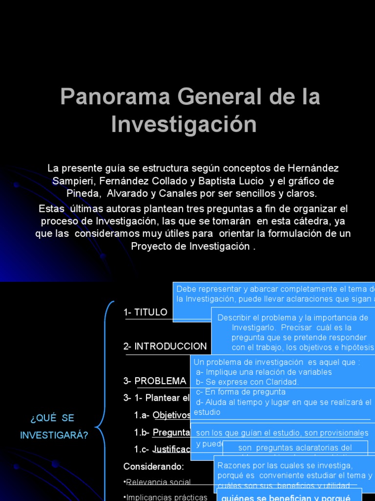 Panorama General de La Investigacion